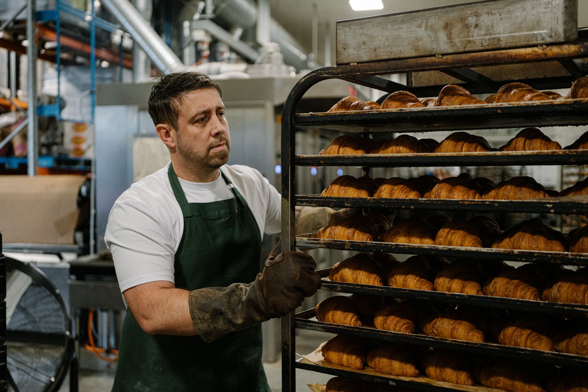 Now Enrolling: 2024 Baking Apprenticeships – Volare Bread