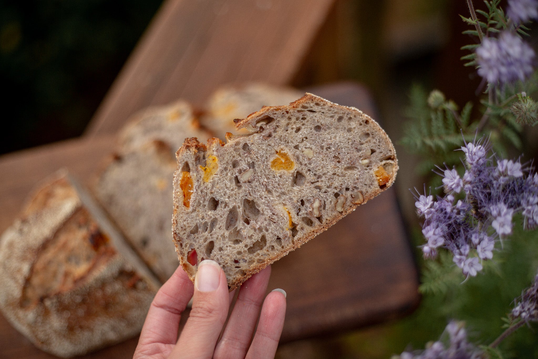 New Product: Apricot & Walnut Loaf – Volare Bread