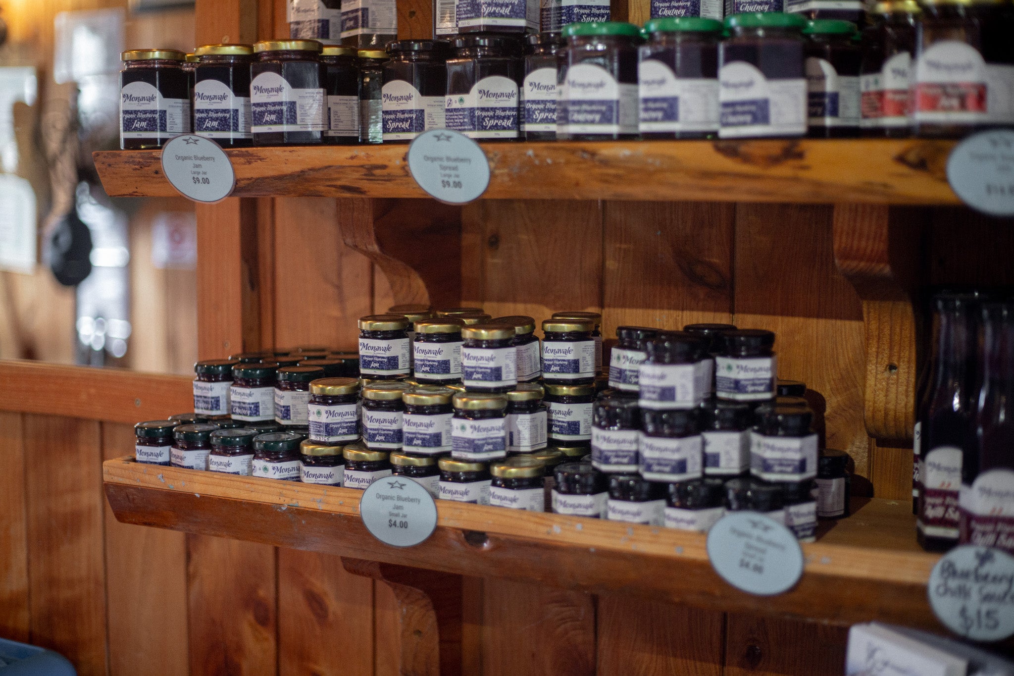 Project Local: Monavale Organic Blueberries – Volare Bread