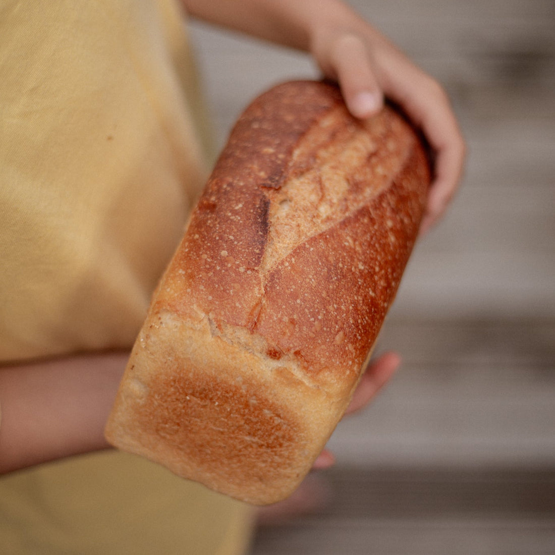 The Soft Sourdough Kids Love: Meet Our San Francisco Tin Loaf – Volare Bread