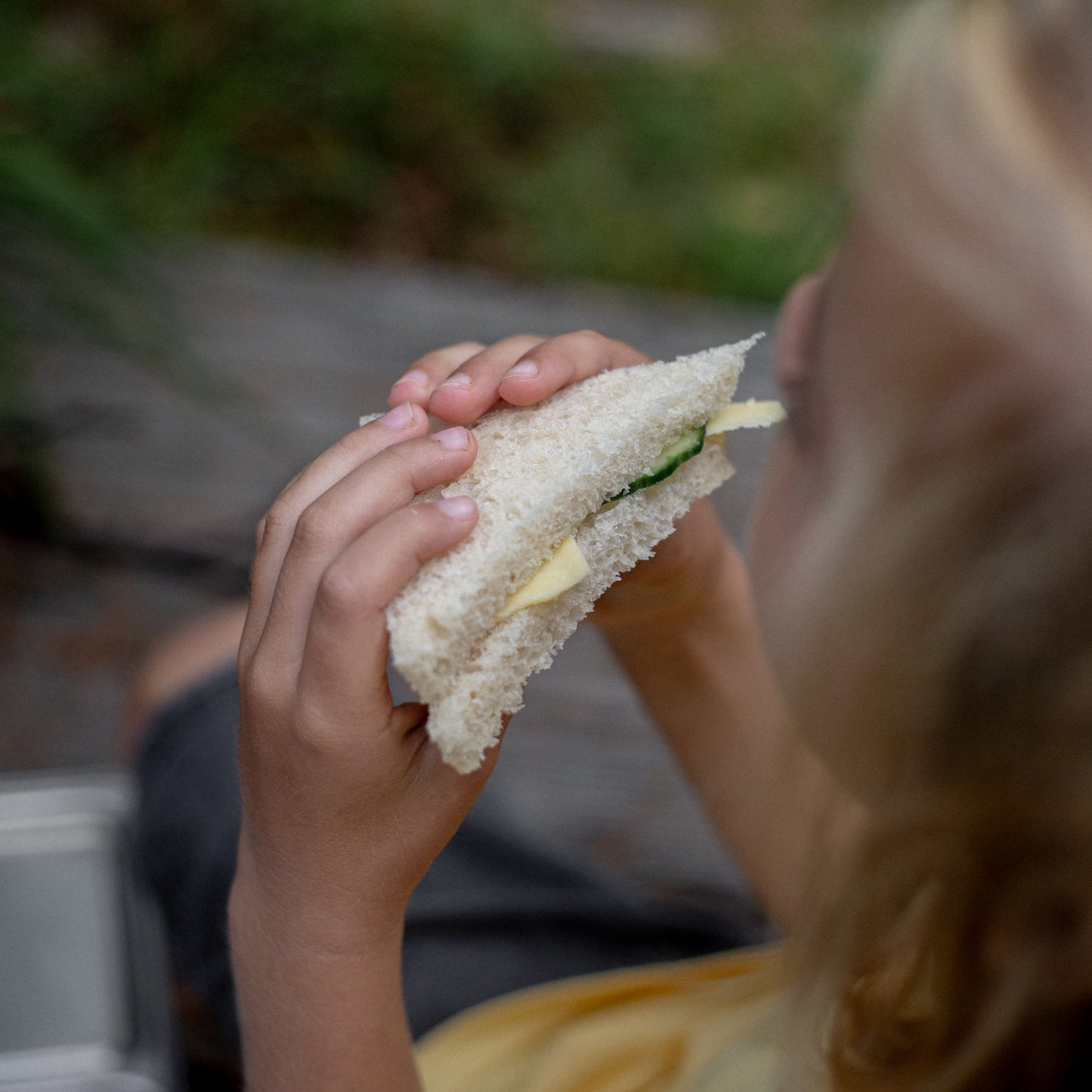 The Soft Sourdough Kids Love: Meet Our San Francisco Tin Loaf – Volare ...